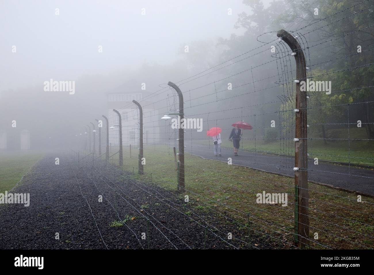 Reconstructed camp fence with people in the fog at beech forest ...