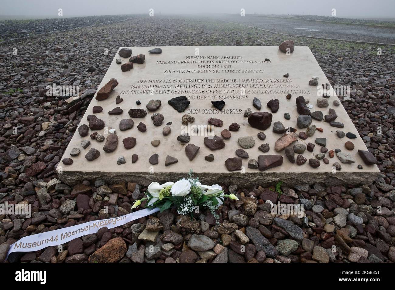 Memorial plaque for woman and girls in beech forest concentration camp ...
