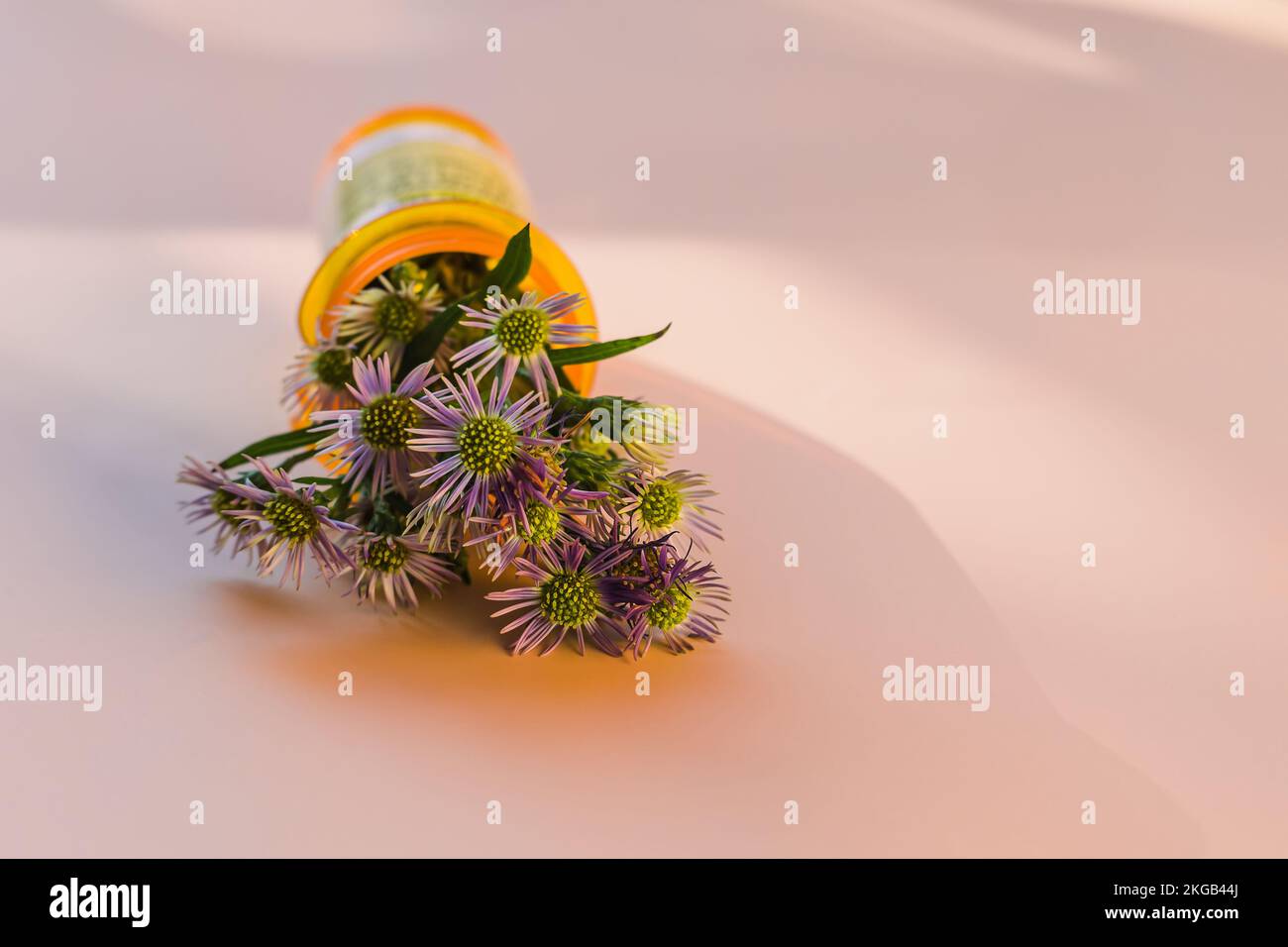 Flowers in the orange plastic bottle for prescribed medication ...