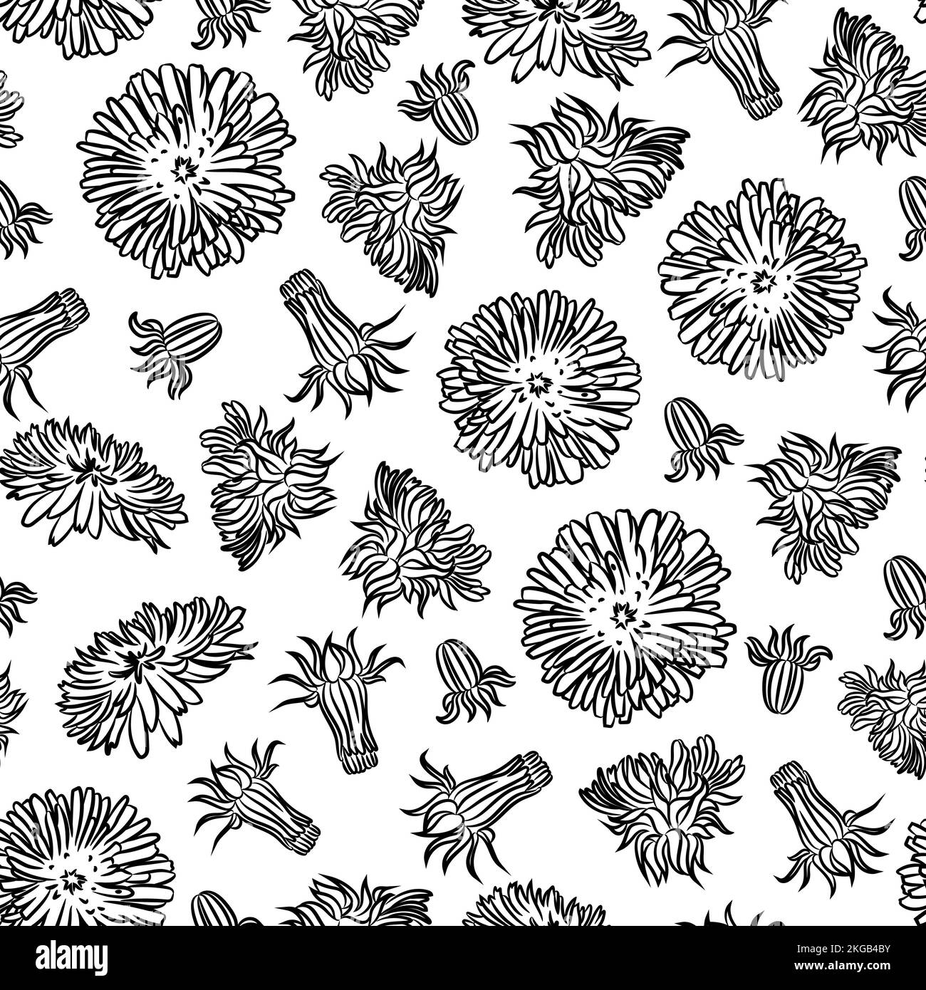 DANDELION Medical Benefits Plant Botanic Nature Flower Seamless Pattern Hand Drawn Vector ...