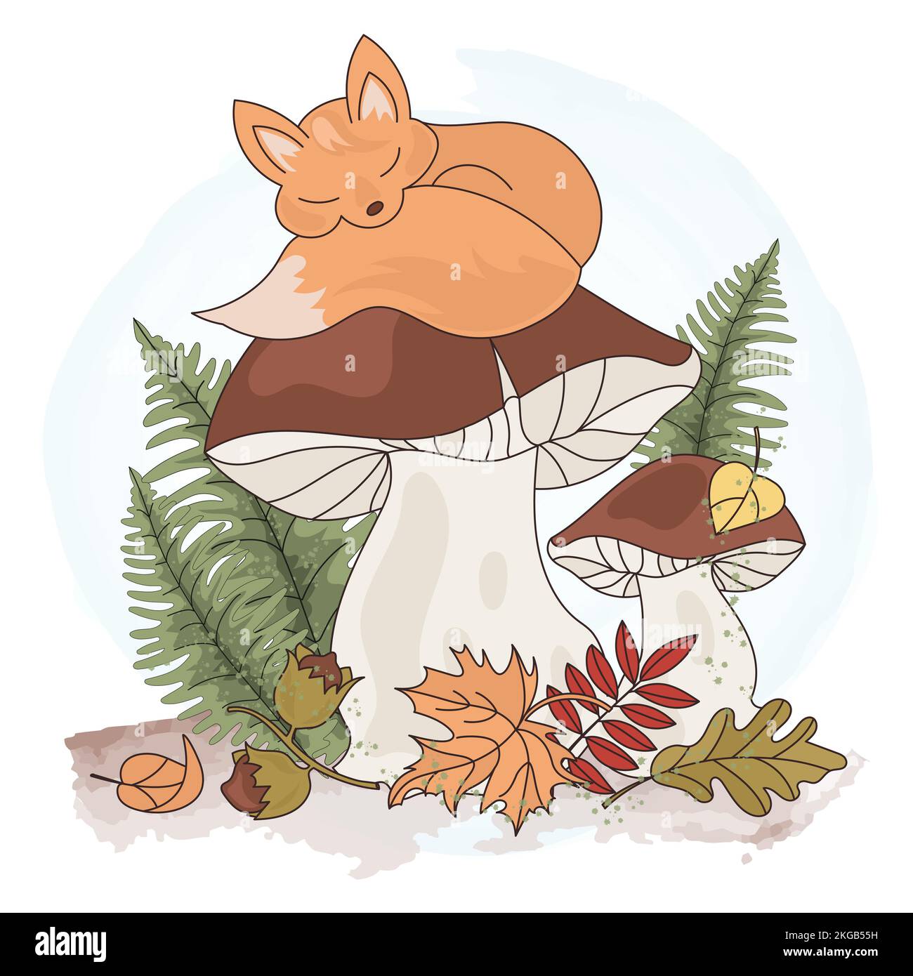 DREAMING FOX Cartoon Forest Sleeping Animal Vector Illustration Set For ...