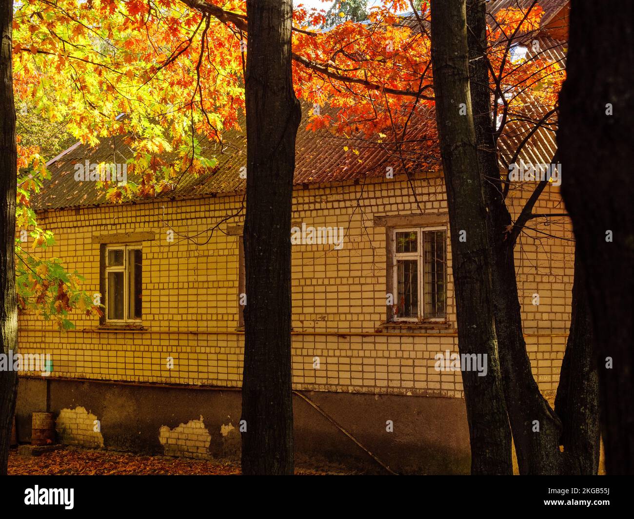 Abandoned and dilapidated old house in an autumn park Stock Photo - Alamy