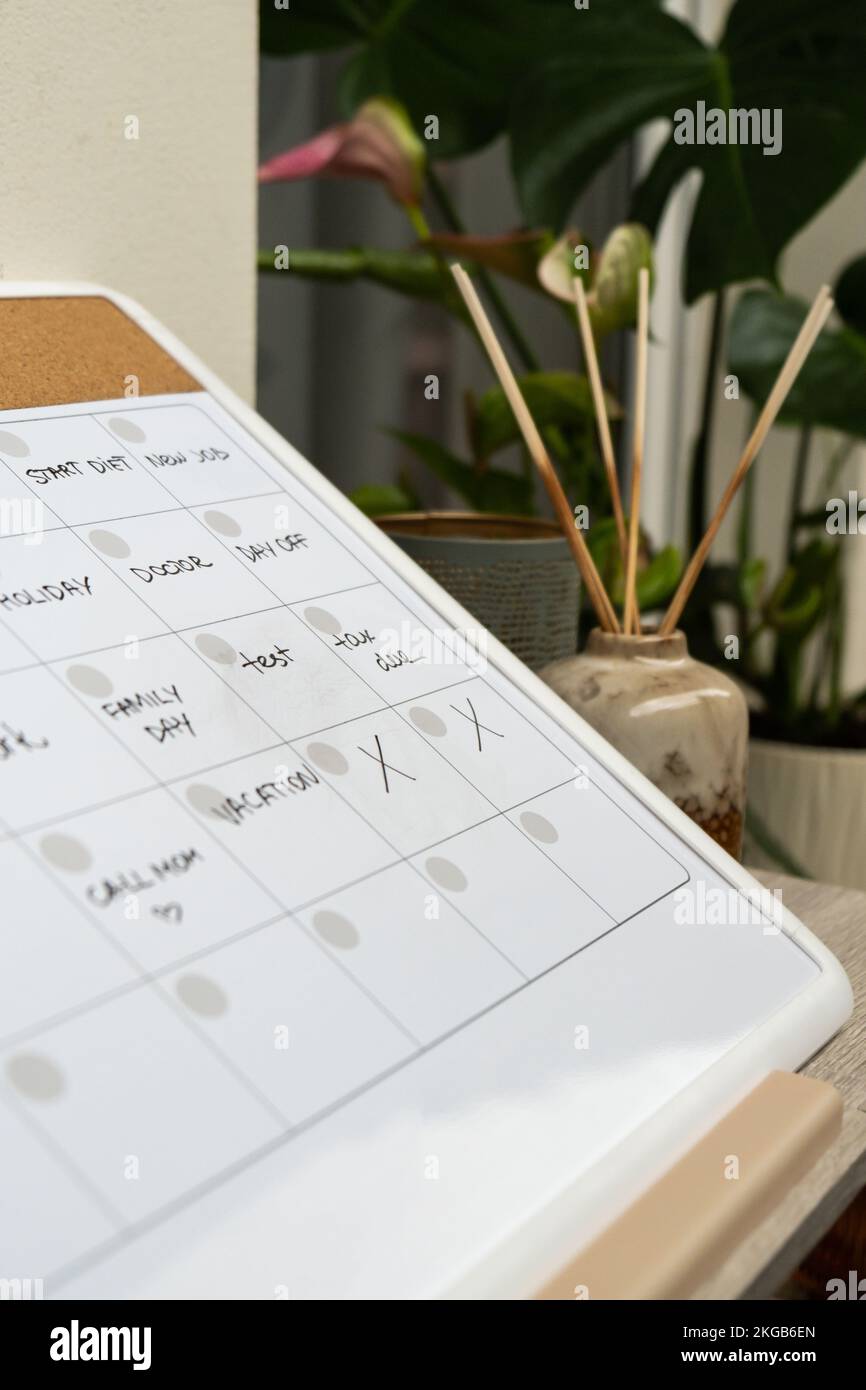 Monthly PLANNER filled with appointments and plans for next month. Busy ...