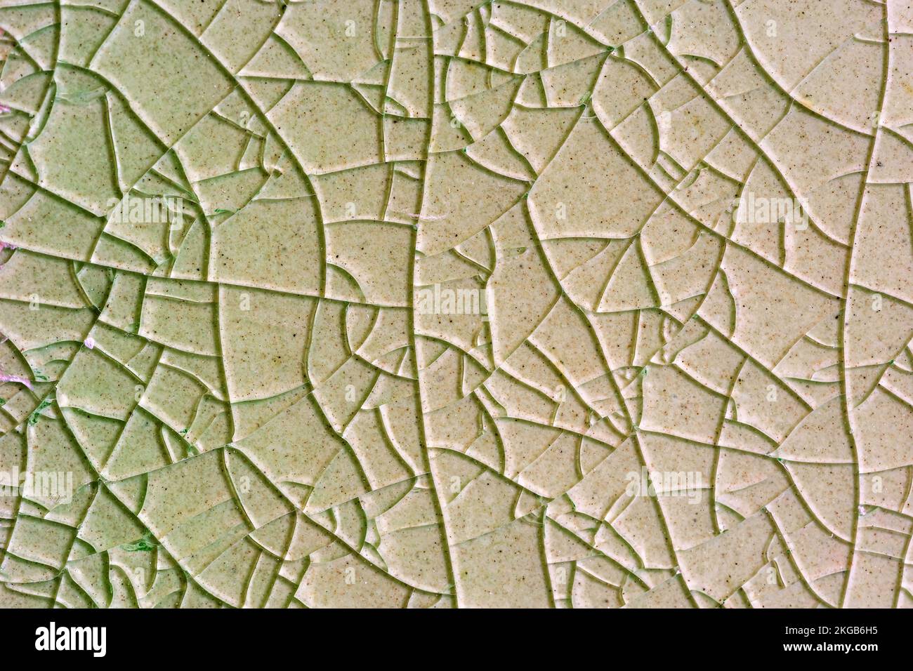 Close up to background and texture of stretch marks cracked on emerald ...