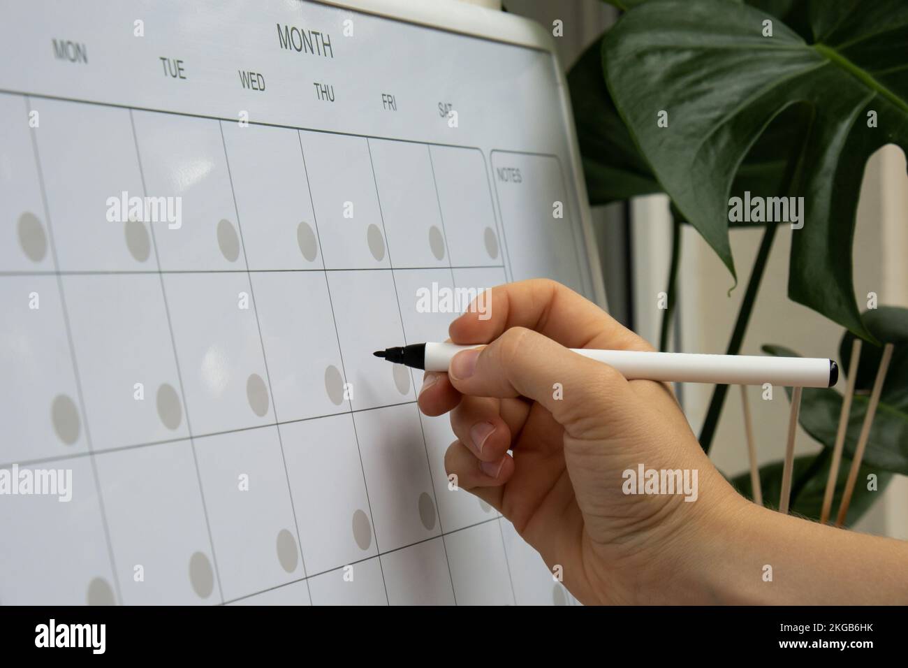 Female hand writing with marker on Monthly PLANNER. Magnetic board with ...