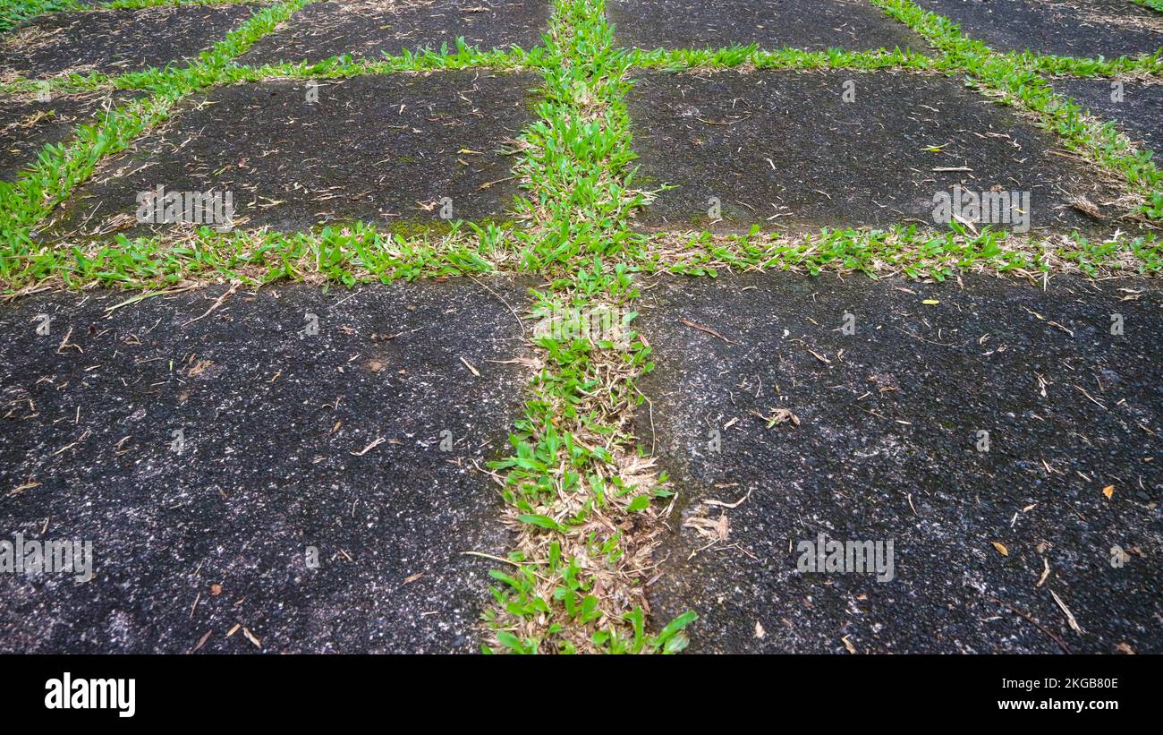 concrete block road with green grass in between. as background Stock ...