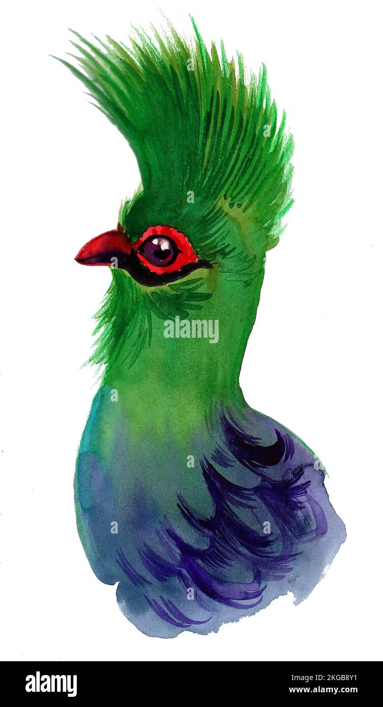 Purple bird feathers Cut Out Stock Images & Pictures - Alamy