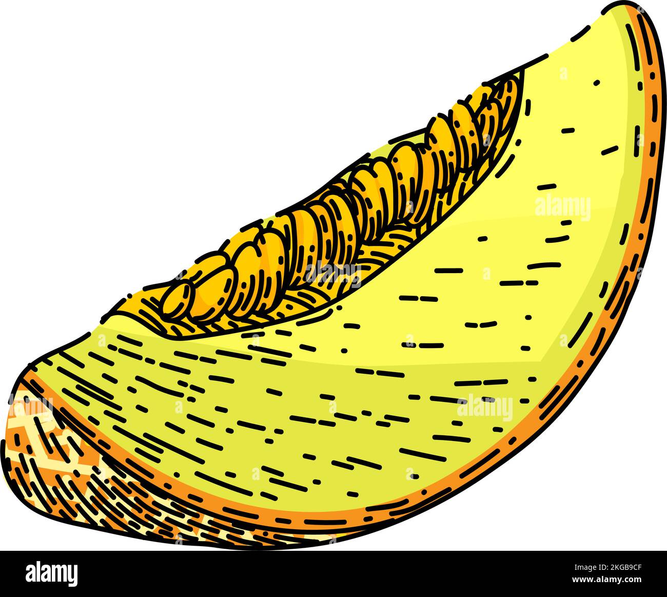melon yellow slice sketch hand drawn vector Stock Vector Image & Art ...