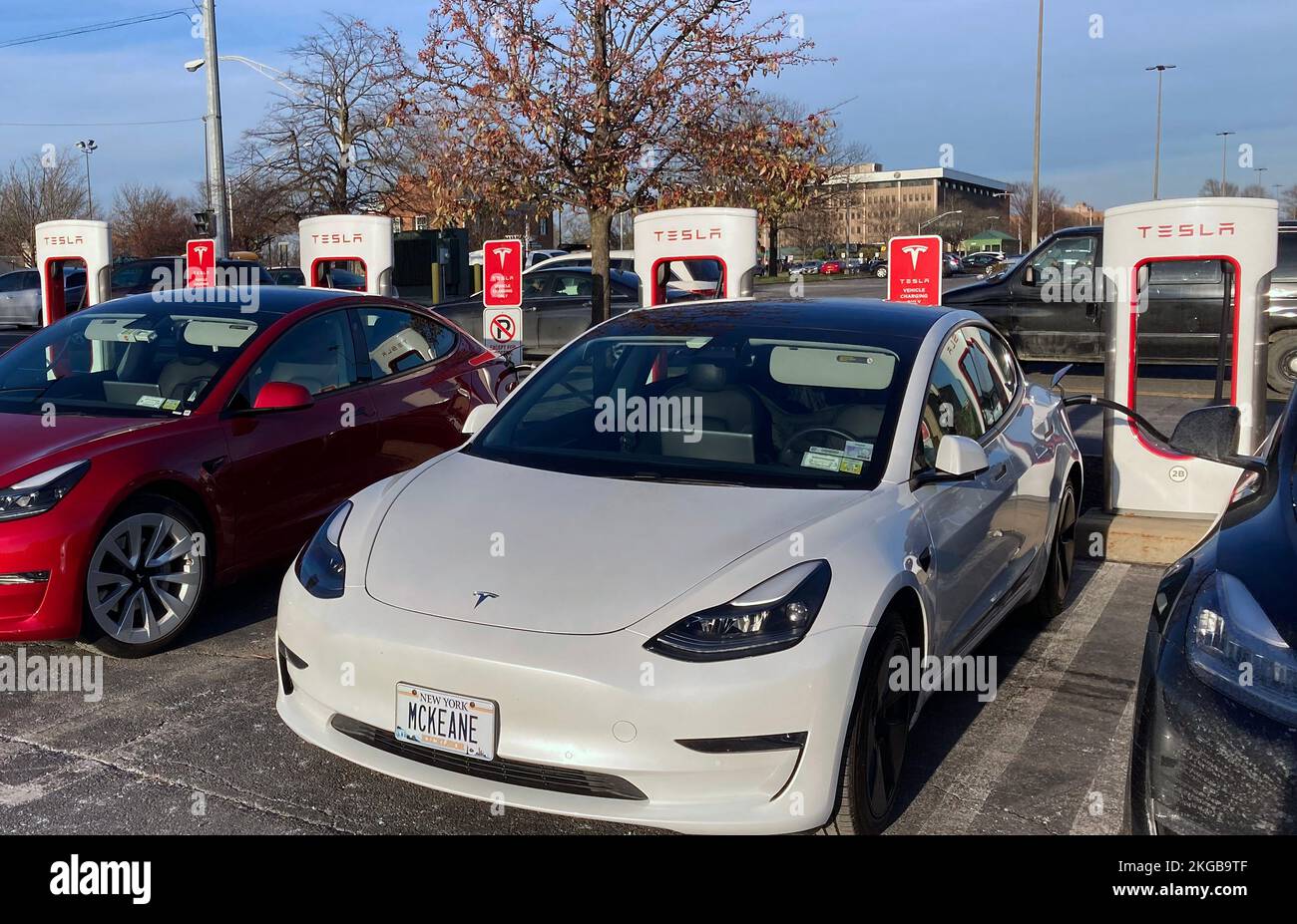 Tesla vehicles are seen at a charging station in Colonie. Telsa has ...