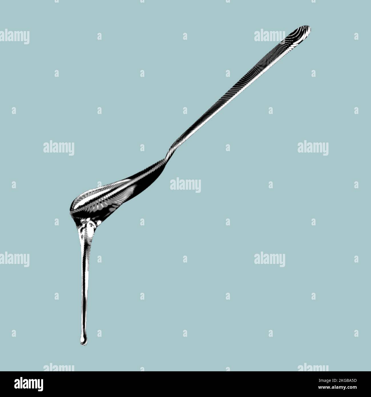 graphic engraving honey spoon. a spoonful of honey. Realistic ...