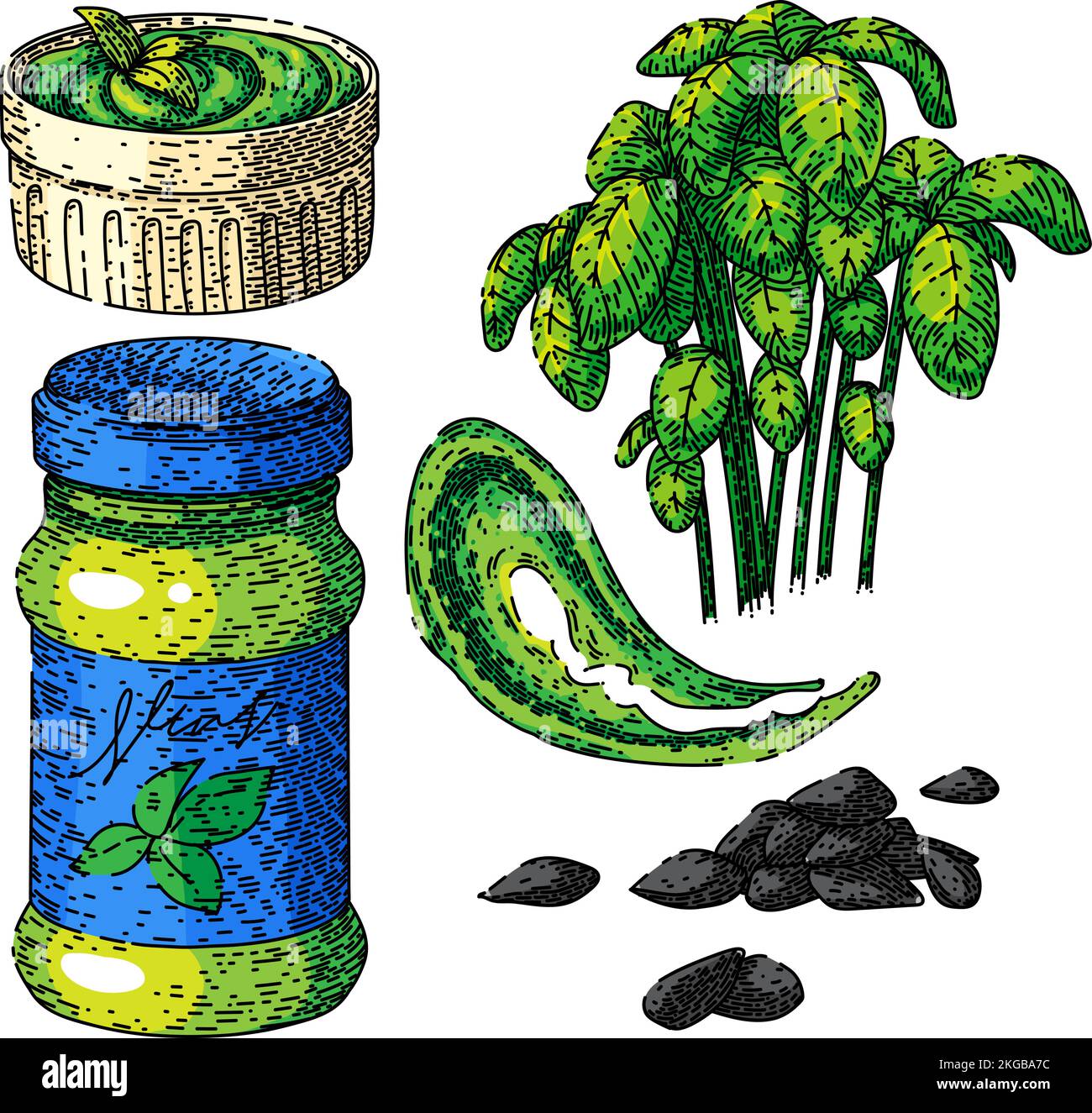 pesto sauce basil set sketch hand drawn vector Stock Vector Image & Art ...