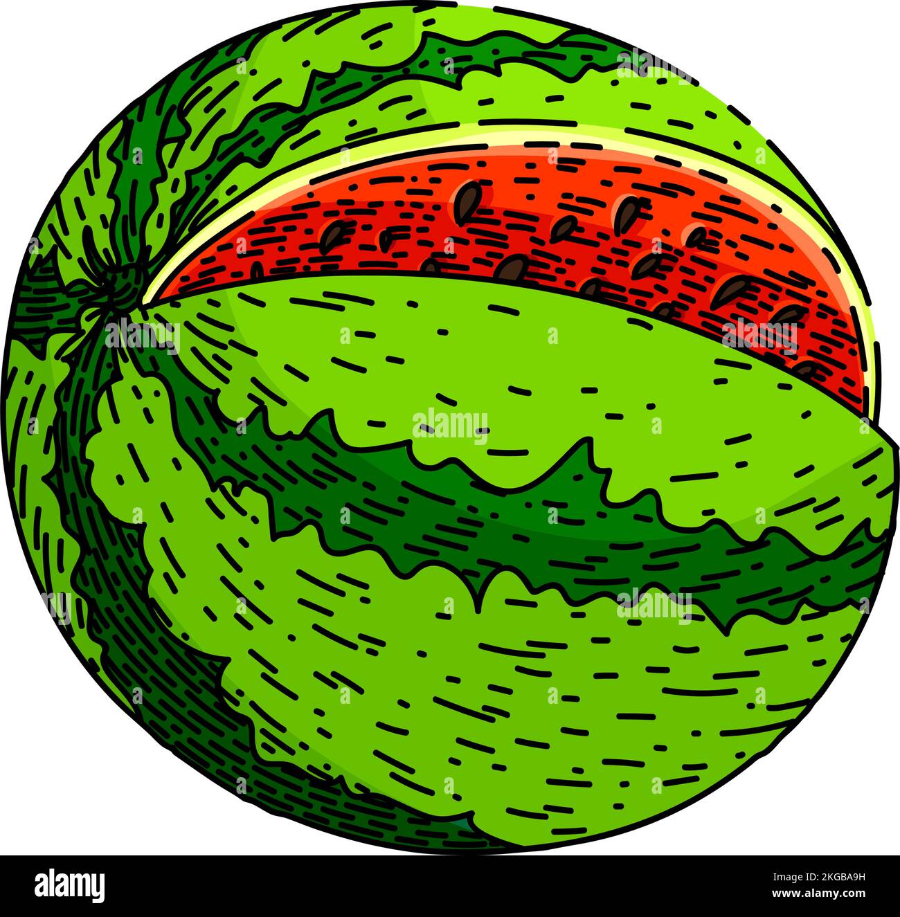 watermelon cut sketch hand drawn vector Stock Vector Image & Art - Alamy