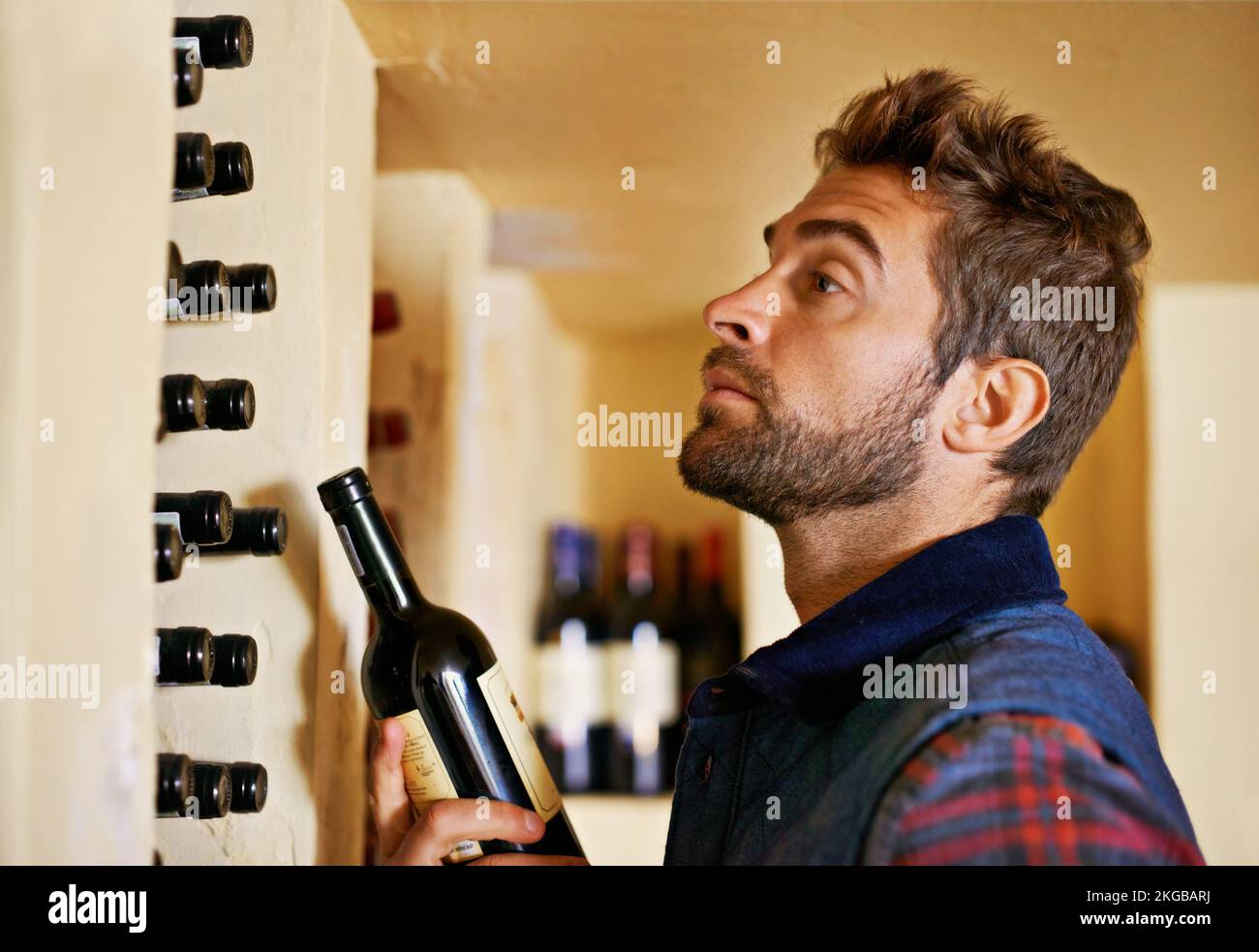 Hes your wine guy. A young man standing in front of a rack full of wine ...