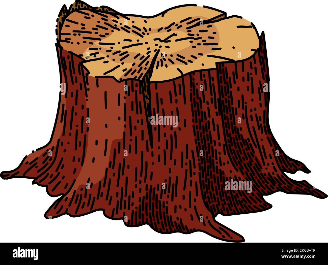 stump wood sketch hand drawn vector Stock Vector Image & Art - Alamy