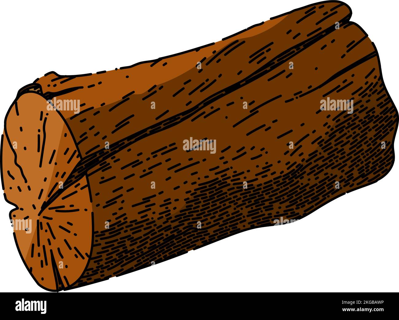 log wood sketch hand drawn vector Stock Vector Image & Art - Alamy