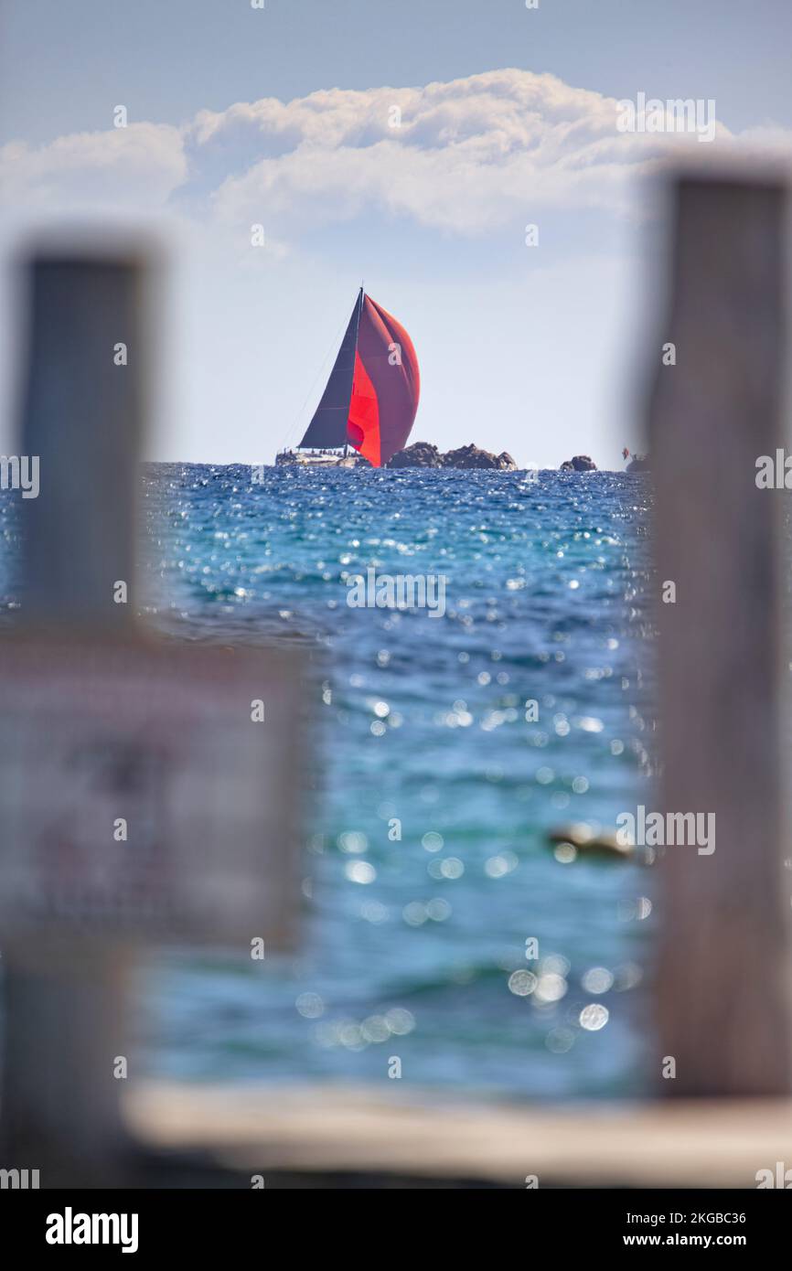 Sail boat racing in Saint-Tropez Stock Photo - Alamy