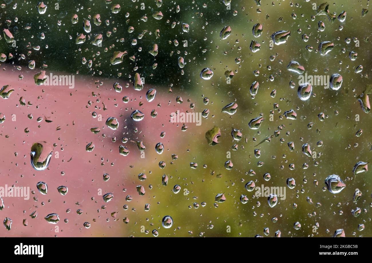 Water Droplets condensed on transparent window. Water rain drops Stock ...