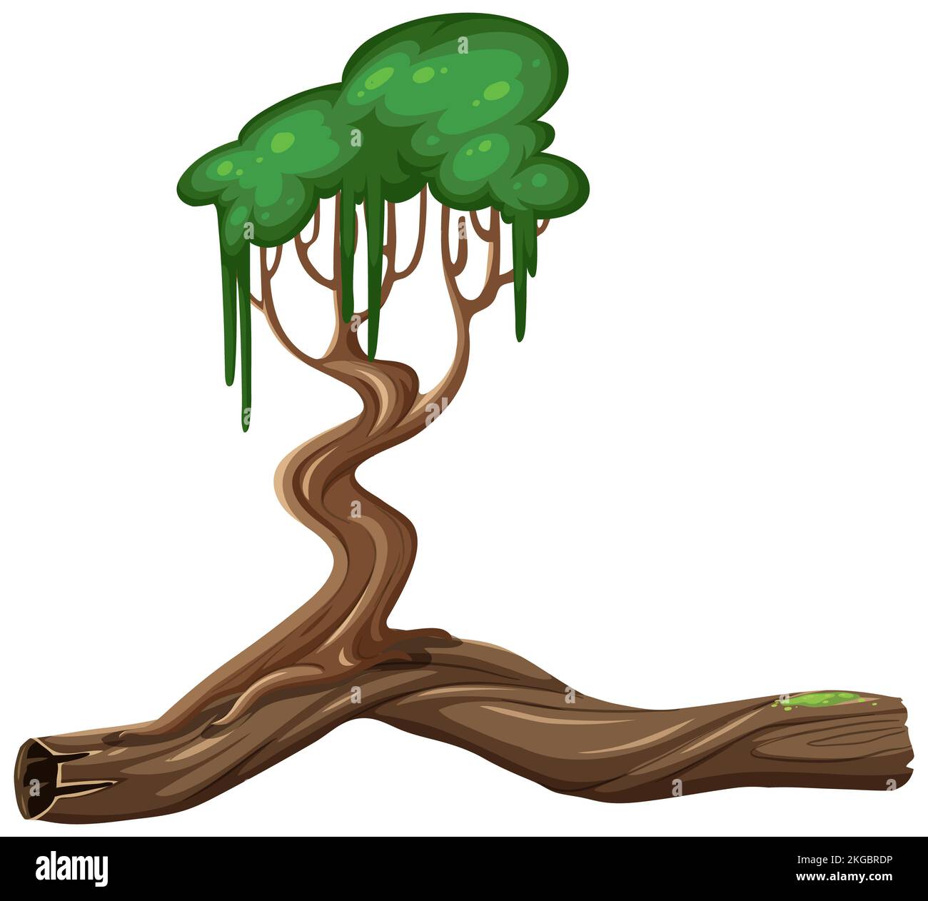 An isolated tree cartoon illustration Stock Photo - Alamy