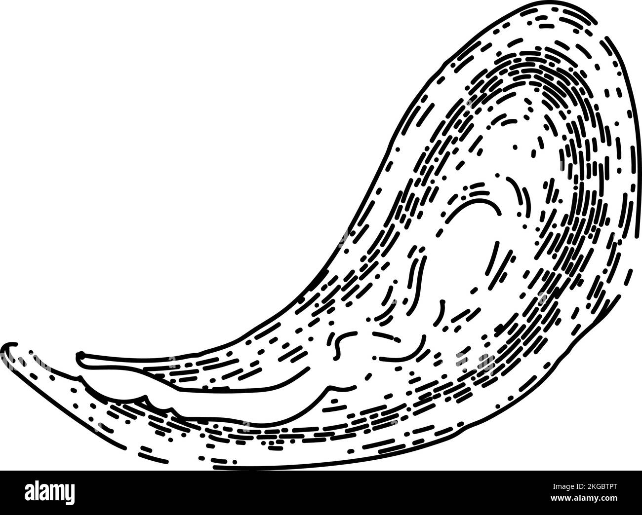 pesto sauce splash sketch hand drawn vector Stock Vector Image & Art ...