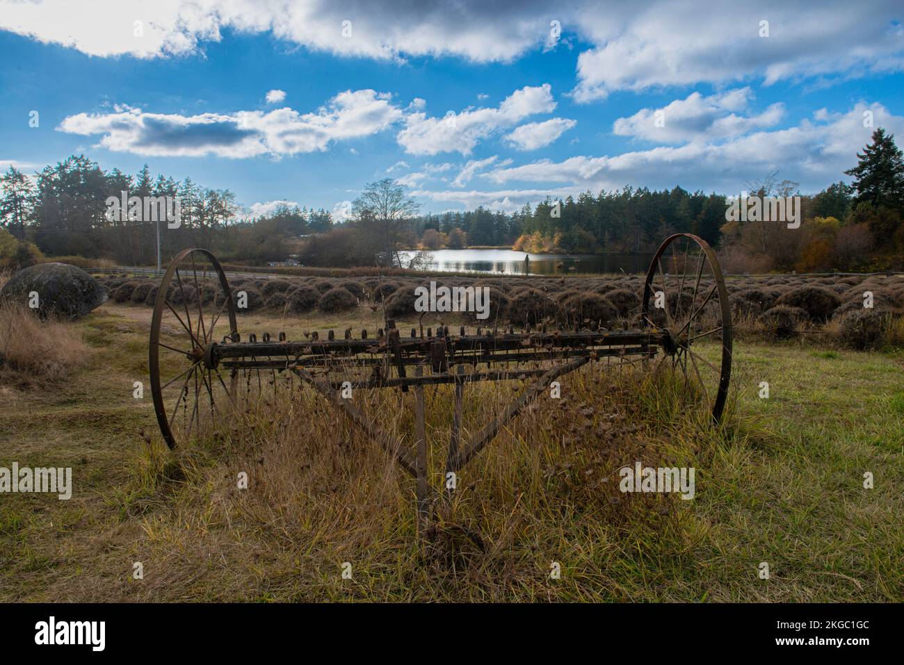 Legacy fields hi-res stock photography and images - Alamy
