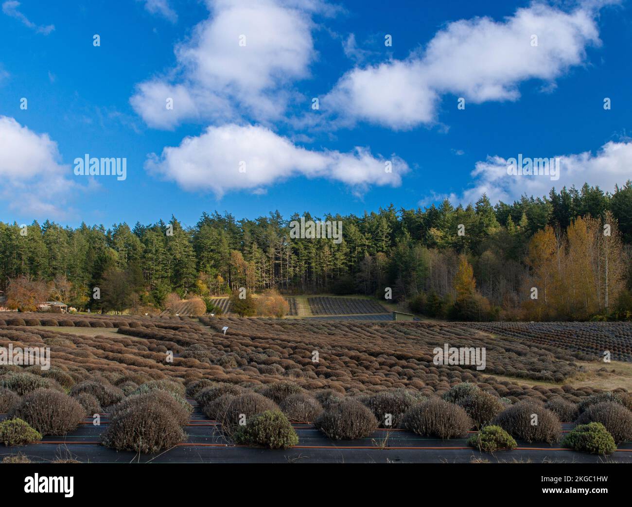 Pelindaba hi-res stock photography and images - Alamy