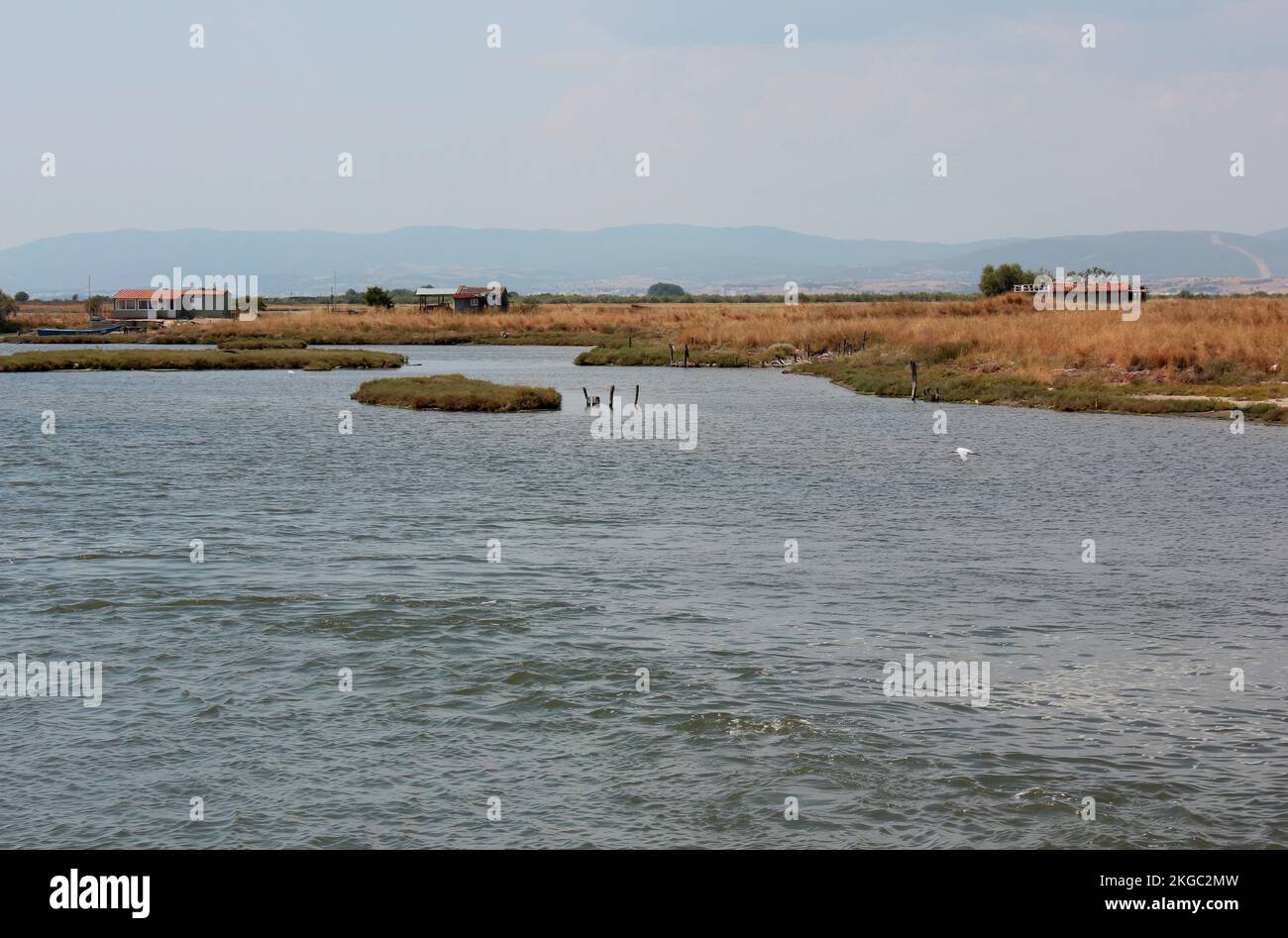 Delta Evros National Park, Evros Thraki Greece Stock Photo - Alamy