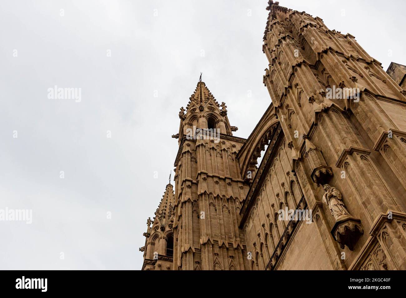 A low angle shot of the Palm Cathedral with high towers and gothic ...
