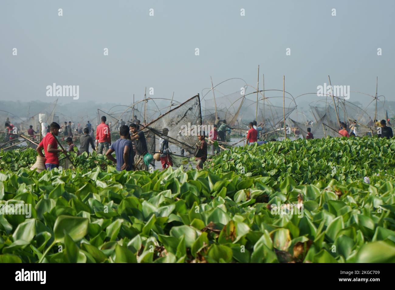 Sylhet, Sylhet, Bangladesh. 23rd Nov, 2022. Villagers of Mollargoan ...