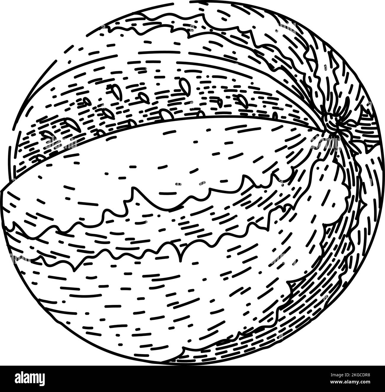 Whole watermelon Black and White Stock Photos & Images - Alamy