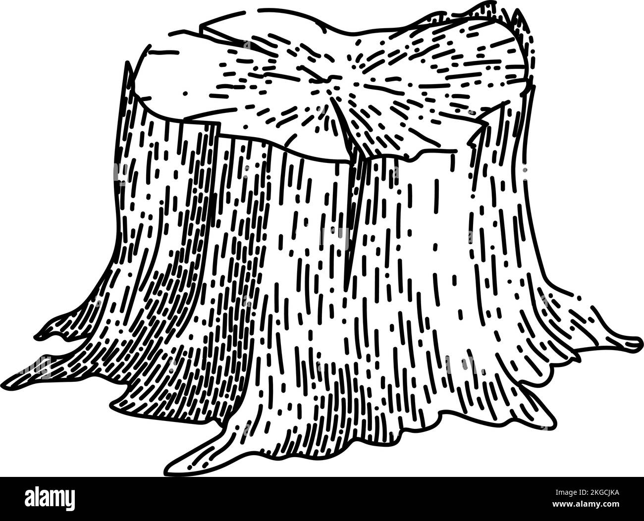 Stump Wood Sketch Hand Drawn Vector Stock Vector Image And Art Alamy