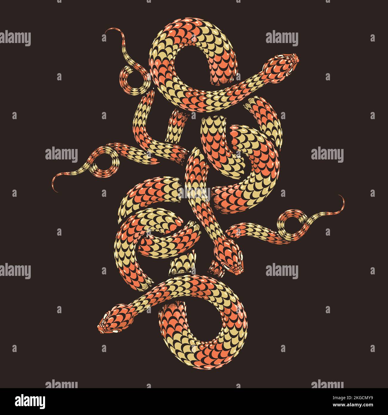 Snake Knot Chinese symbol of Good Fortune Emblem. Vector illustration ...