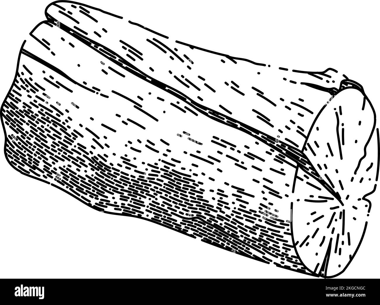 log wood sketch hand drawn vector Stock Vector Image & Art - Alamy