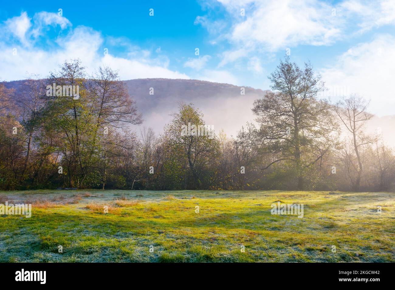 mountainous rural landscape on a misty sunrise. gorgeous fall nature ...
