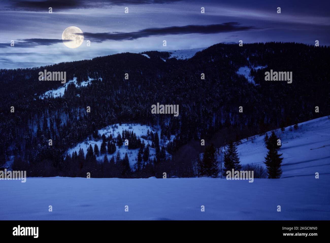 mountain landscape at night. trees on the snow covered hills. sky with ...