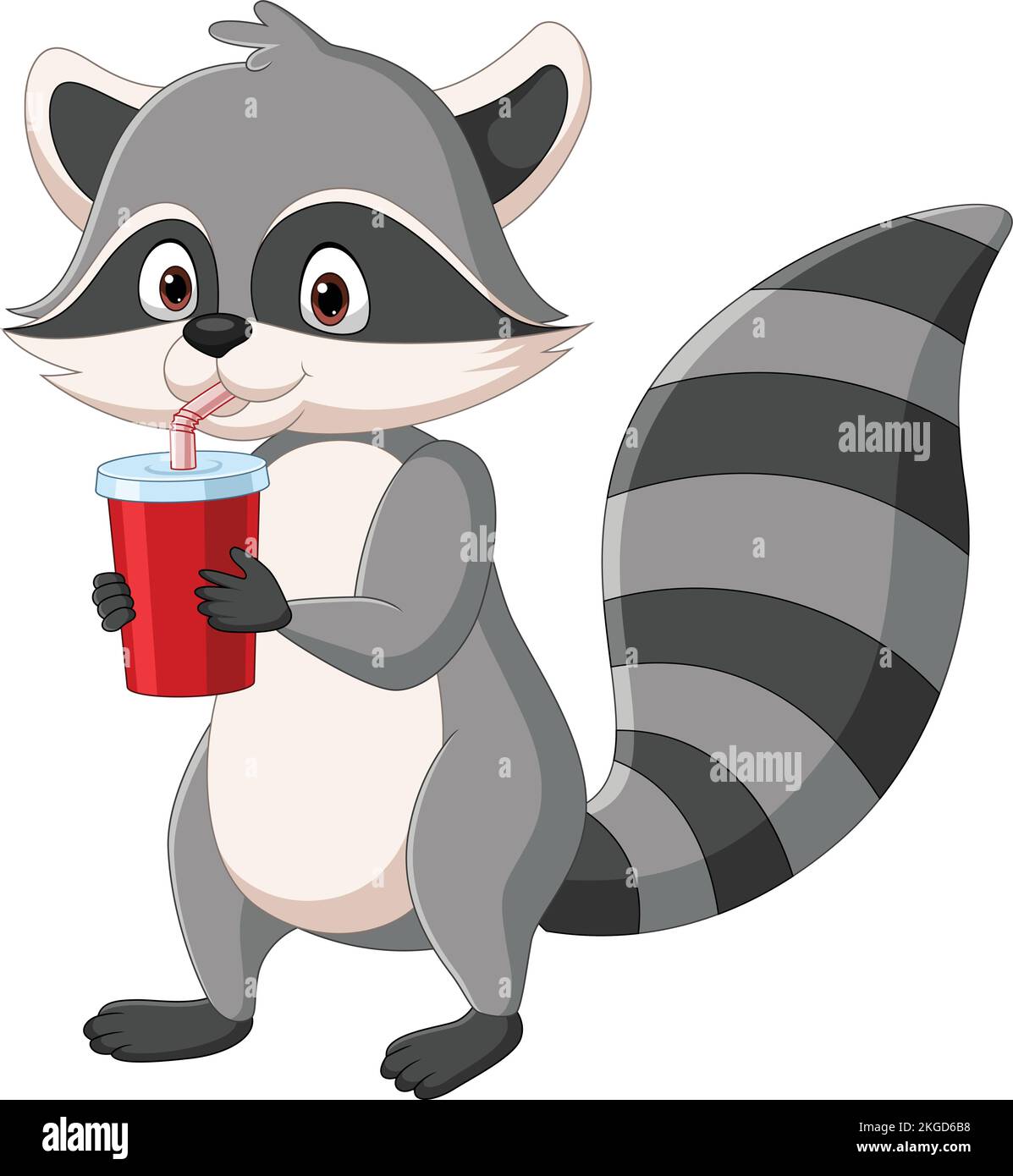 Cute raccoon cartoon drinking soda Stock Vector Image & Art - Alamy