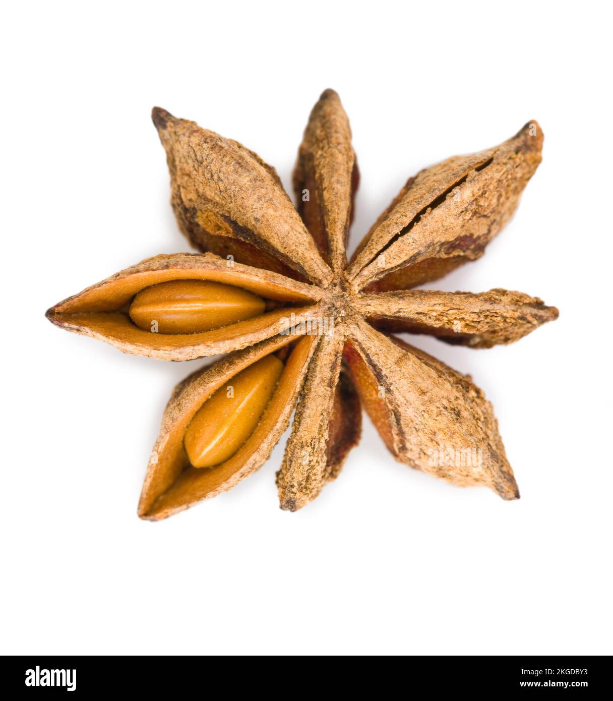 Seasonning plant hi-res stock photography and images - Alamy