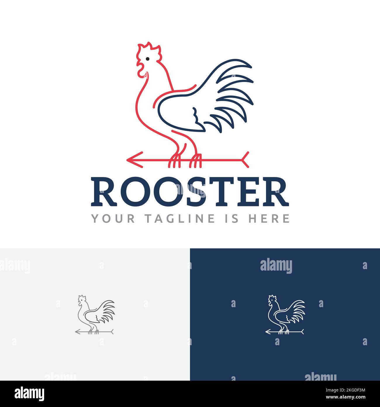 Arrow Rooster West Direction Chicken Vintage Line Logo Stock Vector ...