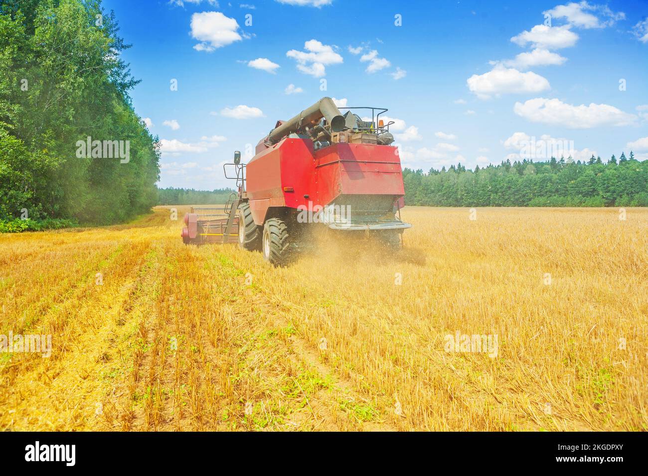 combine harvester working on wheat field rear view Stock Photo - Alamy