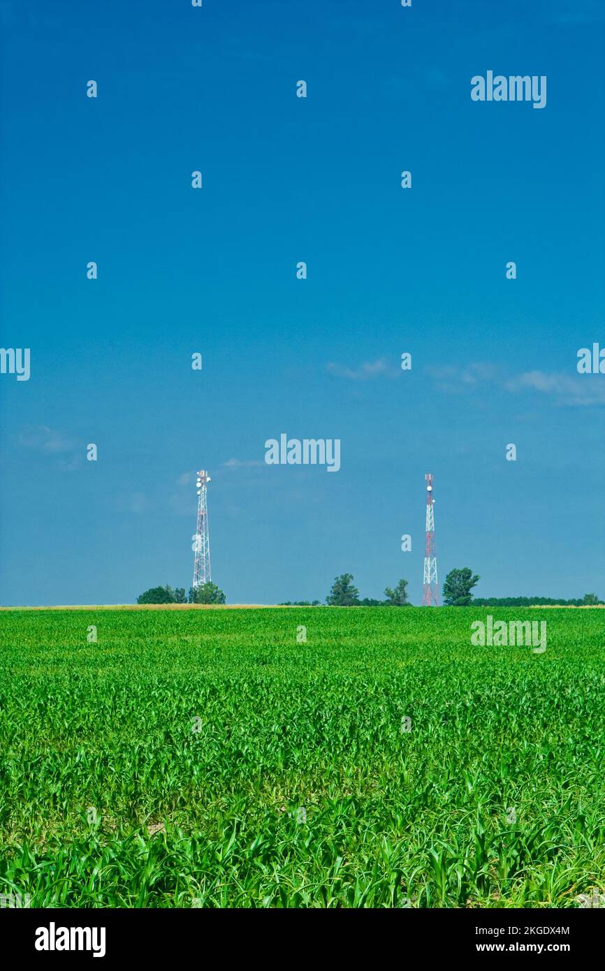 corn field and two tower vertical Stock Photo - Alamy