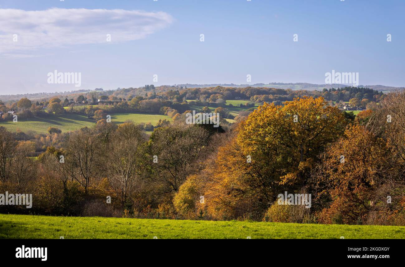 Salehurst and robertsbridge hi-res stock photography and images - Alamy