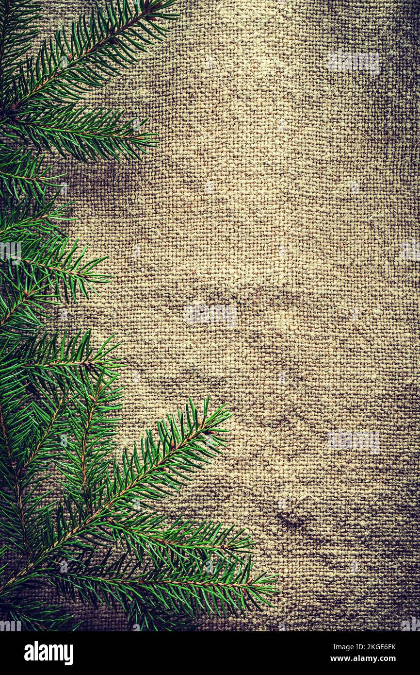 Green fir tree branches on sacking surface Stock Photo - Alamy