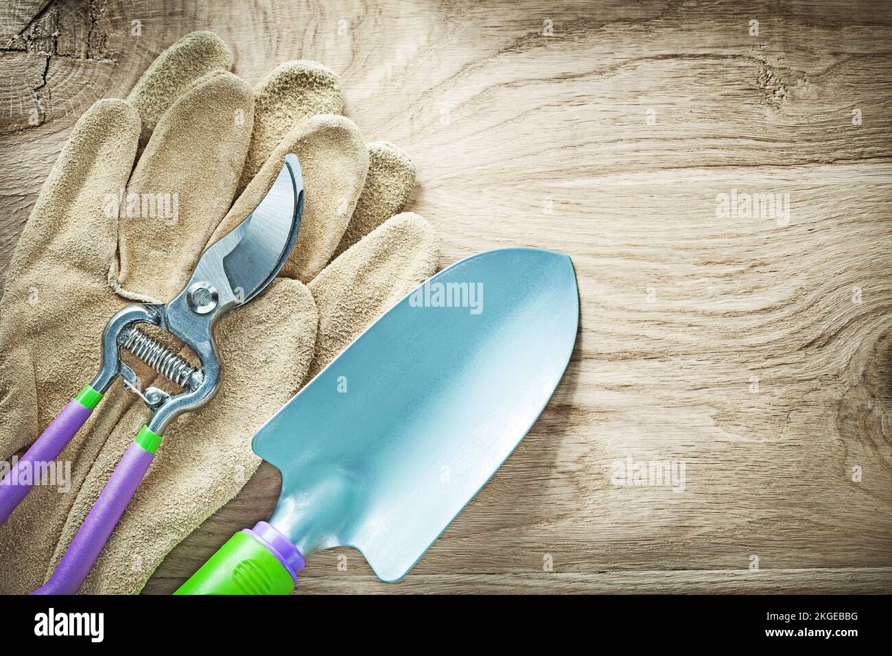 Leather protective gloves secateurs hand spade on wooden board ...
