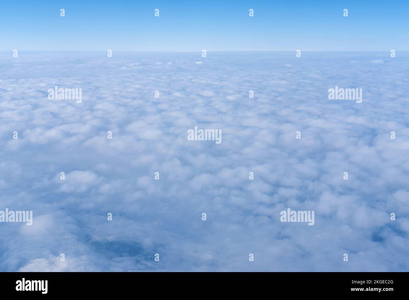 Background of a pink purple heavenly sky with fluffy dense clouds, top ...