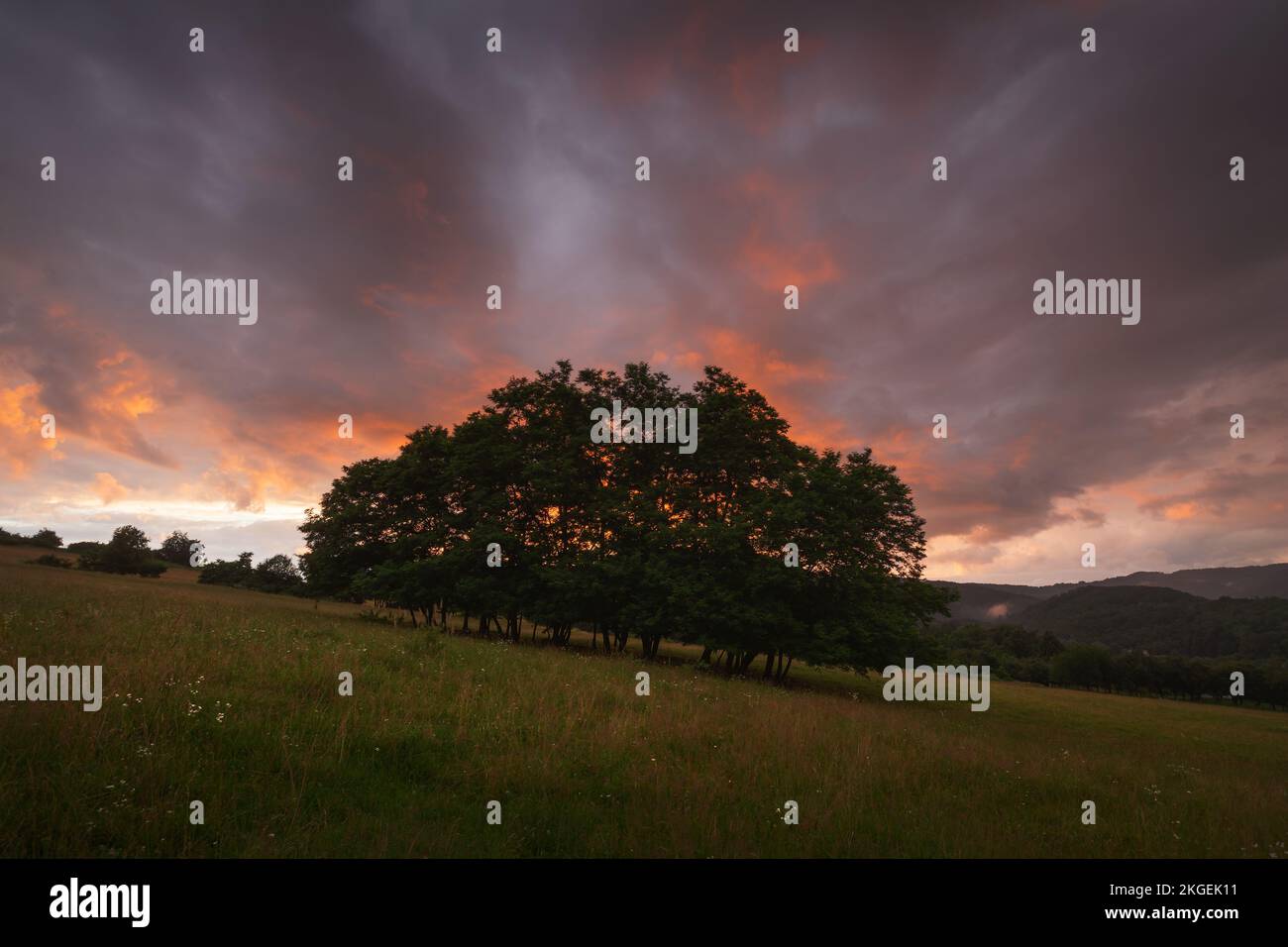 Rural landscape at Hradiste village in southern Slovakia Stock Photo ...