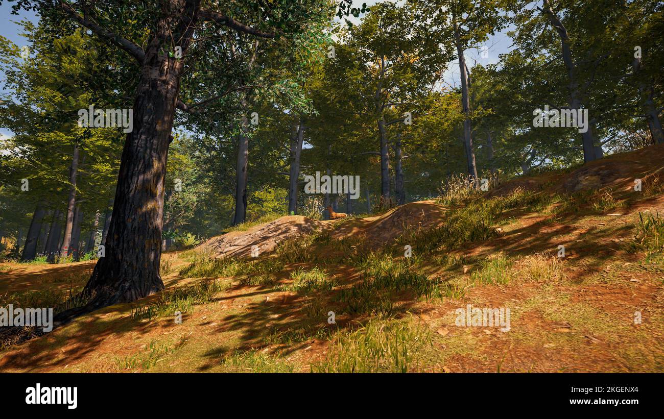 3D rendering. An immersive natural environment. Landscape to illustrate ...