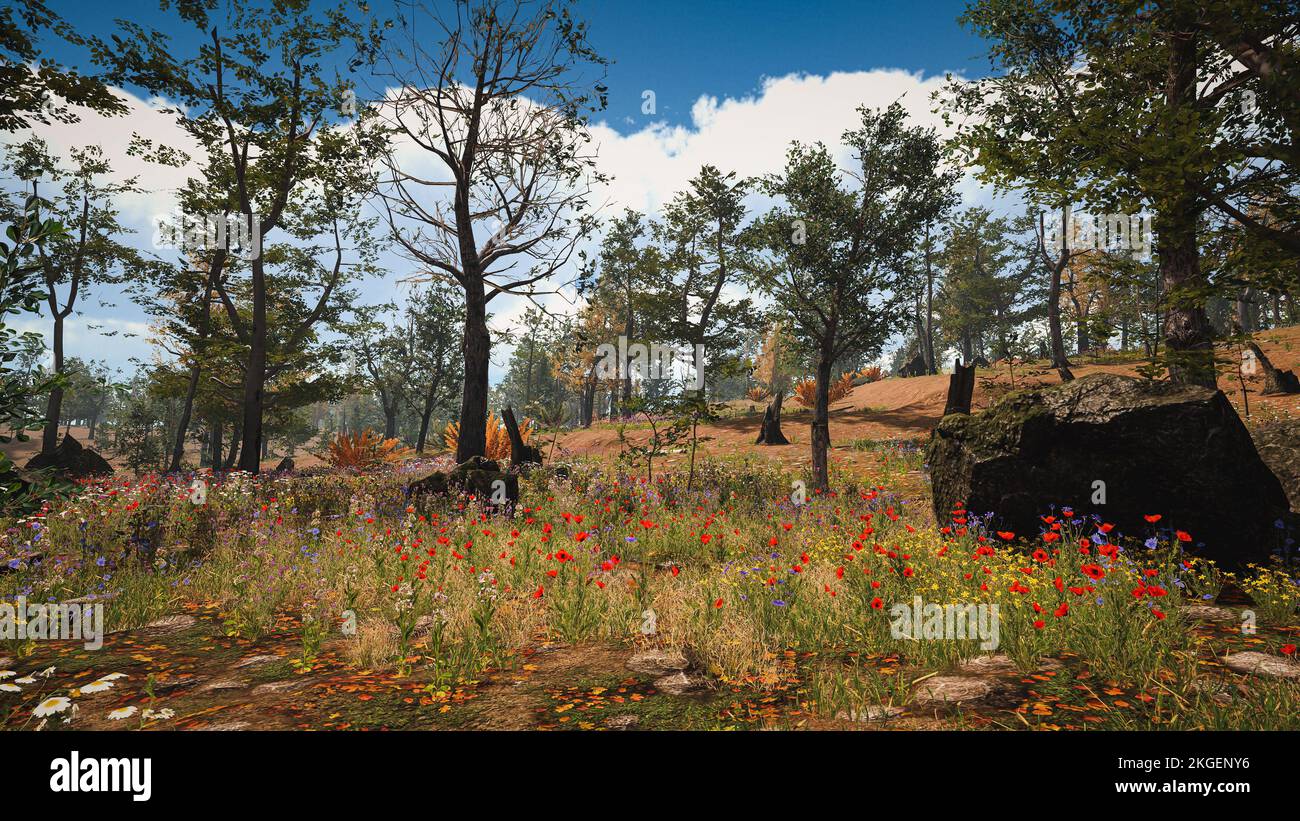 Background to ecology and sustainable development, environmental ...