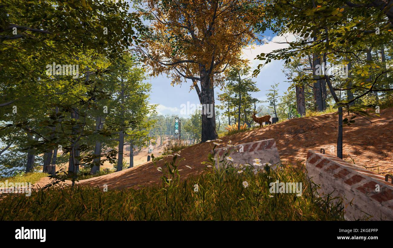 3D rendering. An immersive natural environment. Landscape to illustrate ...