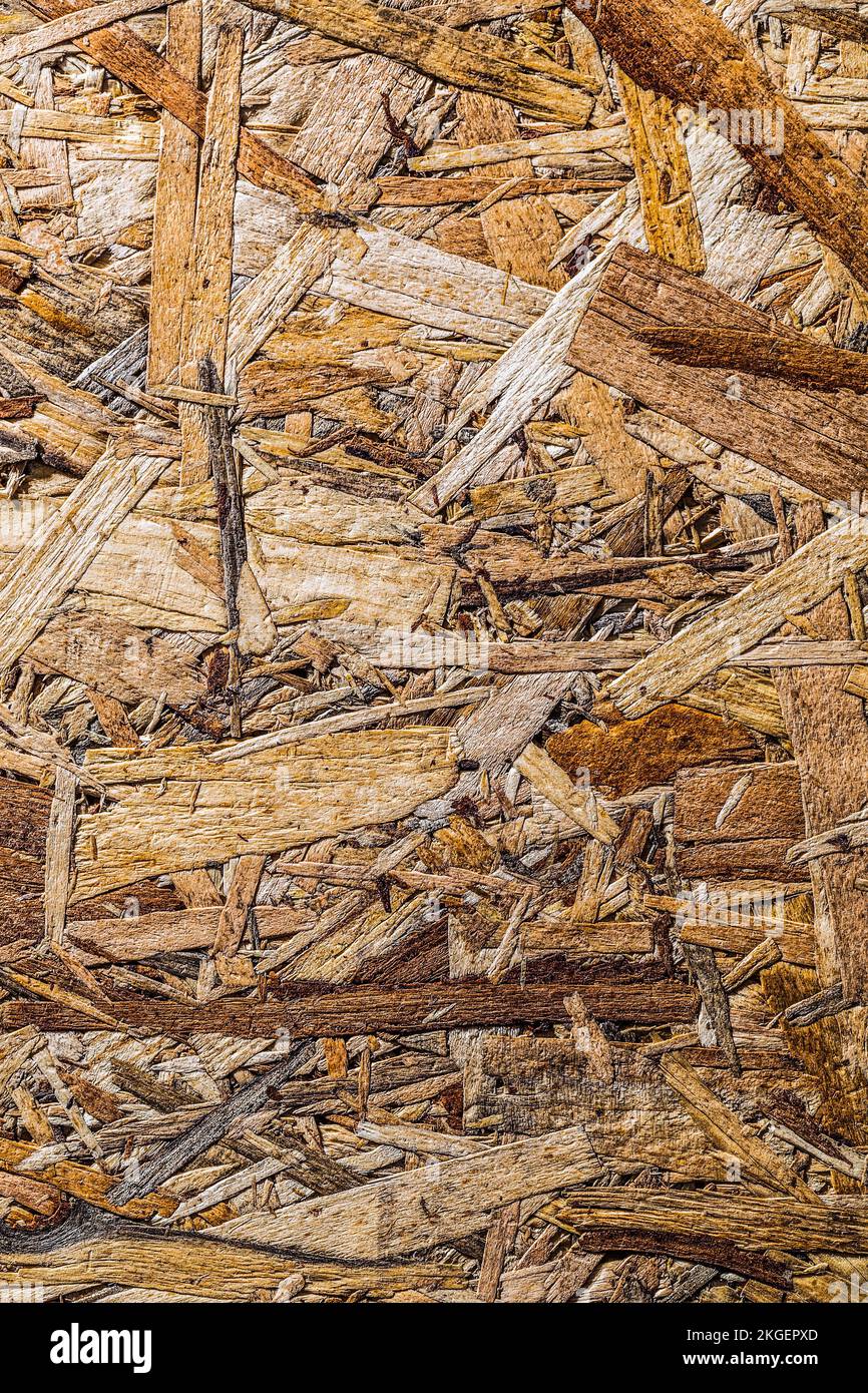 Plywood textured panel vertical view Stock Photo - Alamy