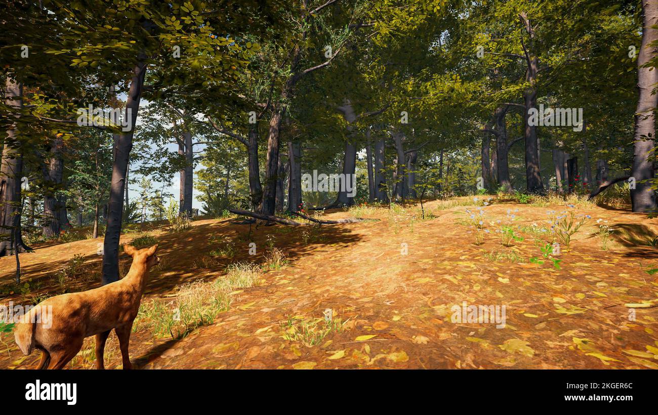 3D rendering. An immersive natural environment. Landscape to illustrate ...