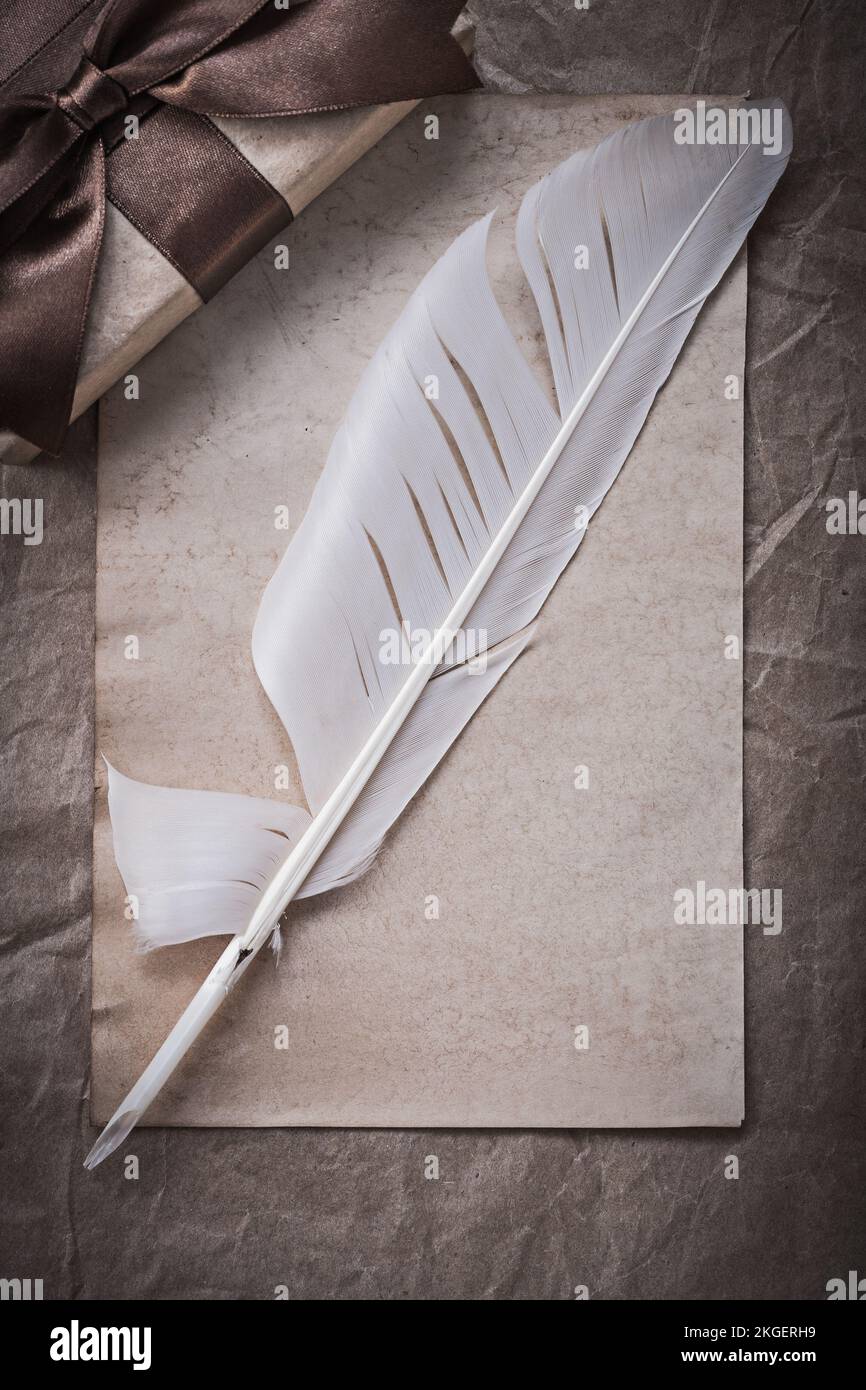 Present box sheet of wrapping paper plume holidays concept Stock Photo ...